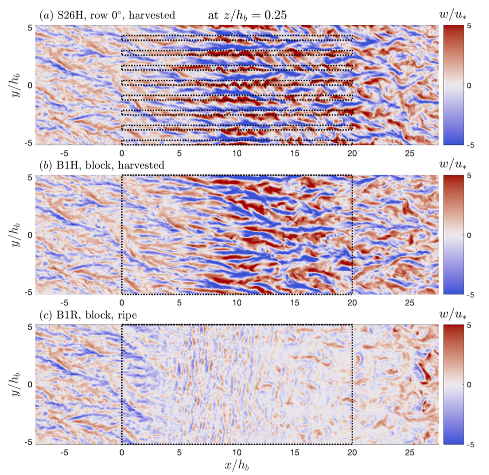 Macroalgal Farming for Carbon Sequestration - Turbulence and Scalar Transport | Tong Bo
