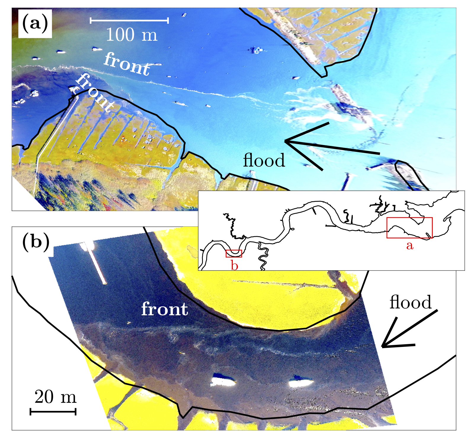 Estuarine Salinity Dynamics - Frontogenesis, Mixing, and Stratification | Tong Bo