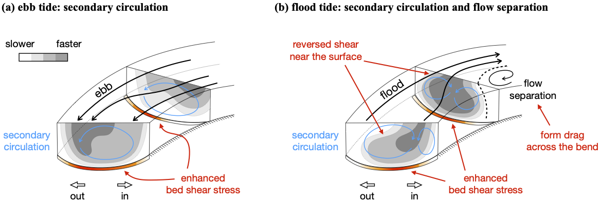 Sources of drag in estuarine meanders: momentum redistribution, bottom ...