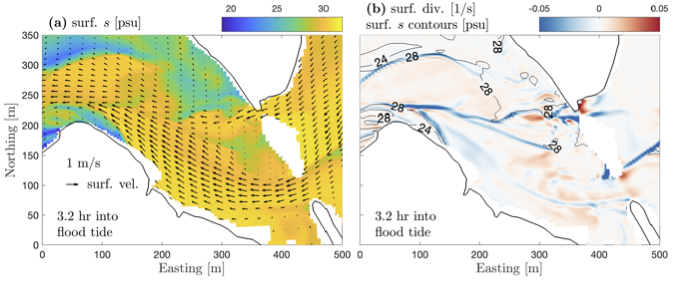 Tidal intrusion fronts, surface convergence, and mixing in an estuary ...